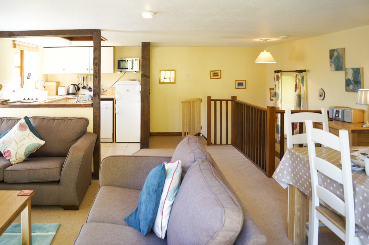 Peter Rabbit | North Hayne Farm