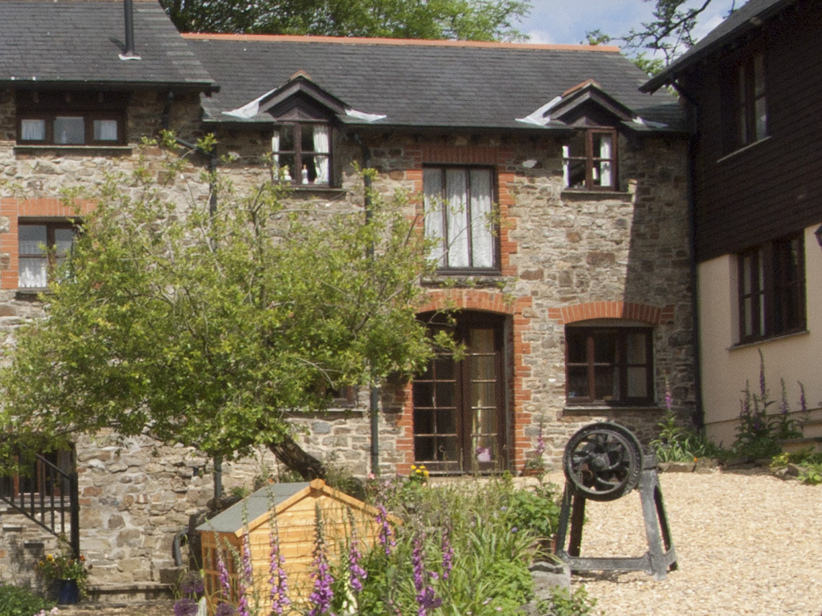 Peter Rabbit | North Hayne Farm