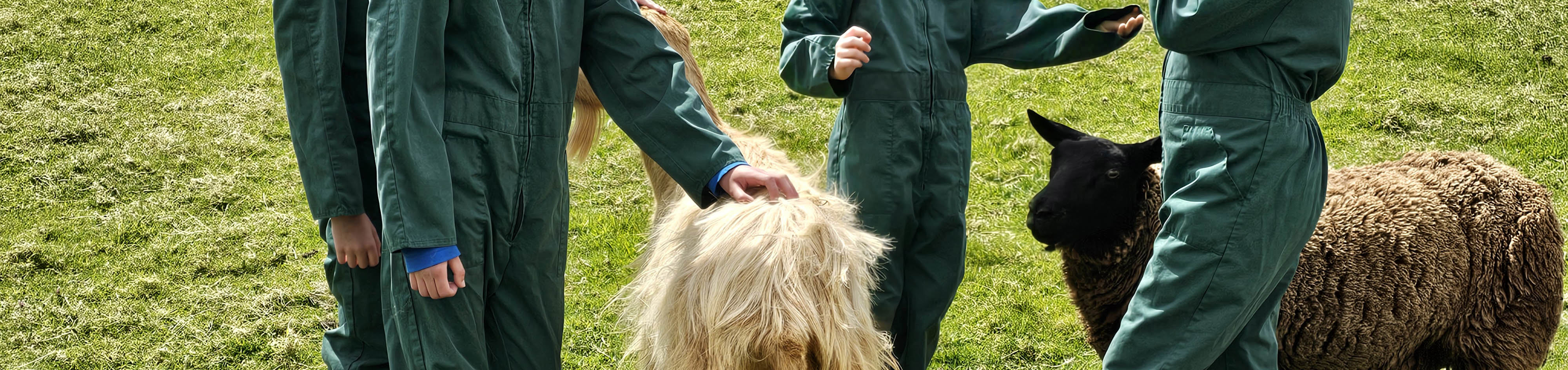 Farm Hands Experience | North Hayne Farm South Molton