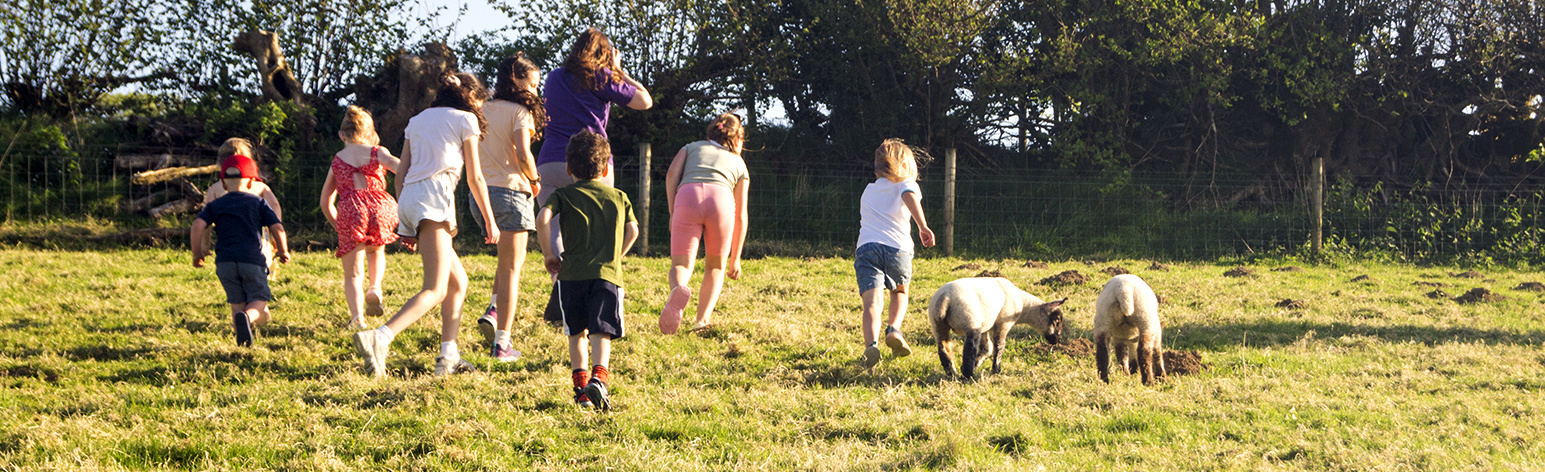 Family Friendly Farm Holidays in Devon | Family Friendly Holidays in ...