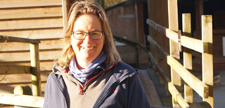 Free Rangers | North Hayne Farm