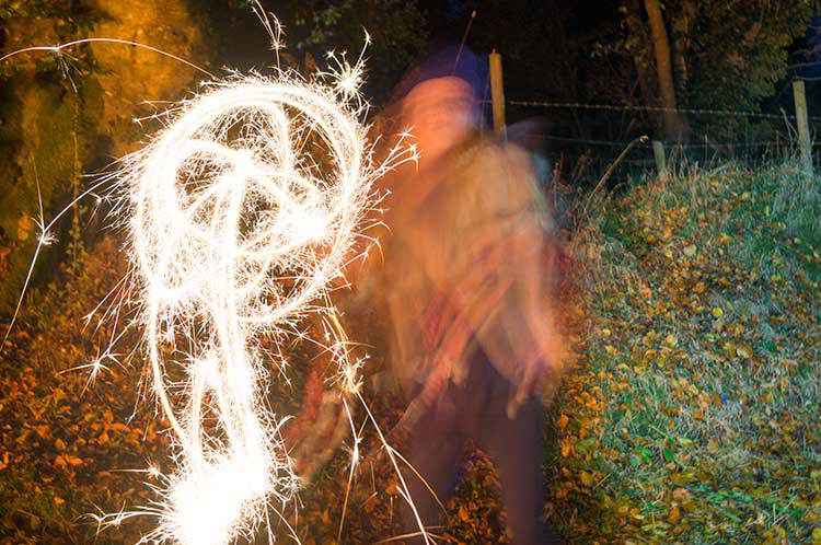 Bonfire Night at the Farm | North Hayne Farm